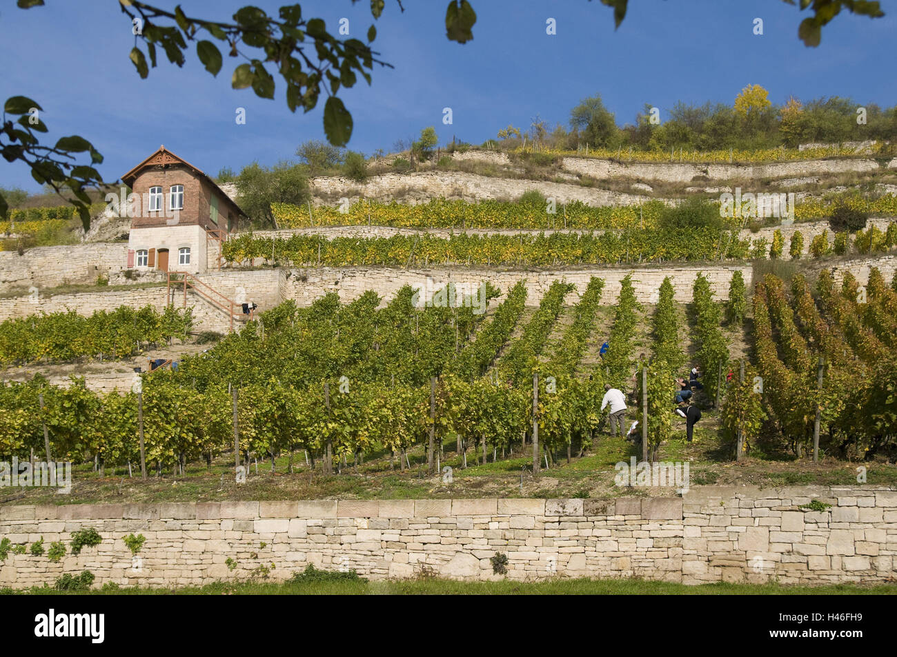 Germany, Saxony-Anhalt, Burgenland circle, castle Frey, Schlifter ...
