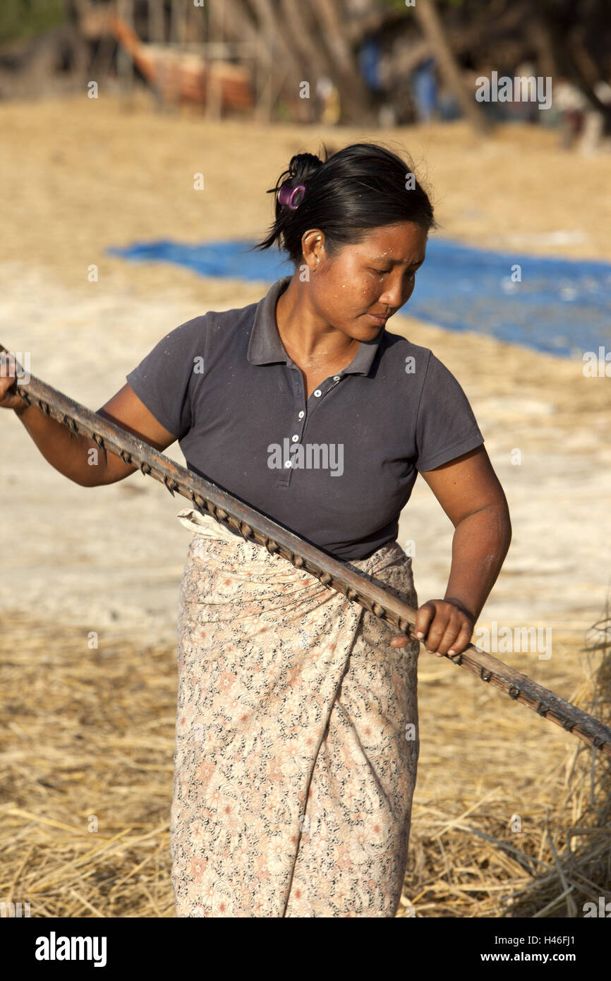 Myanmar people working hi-res stock photography and images - Alamy