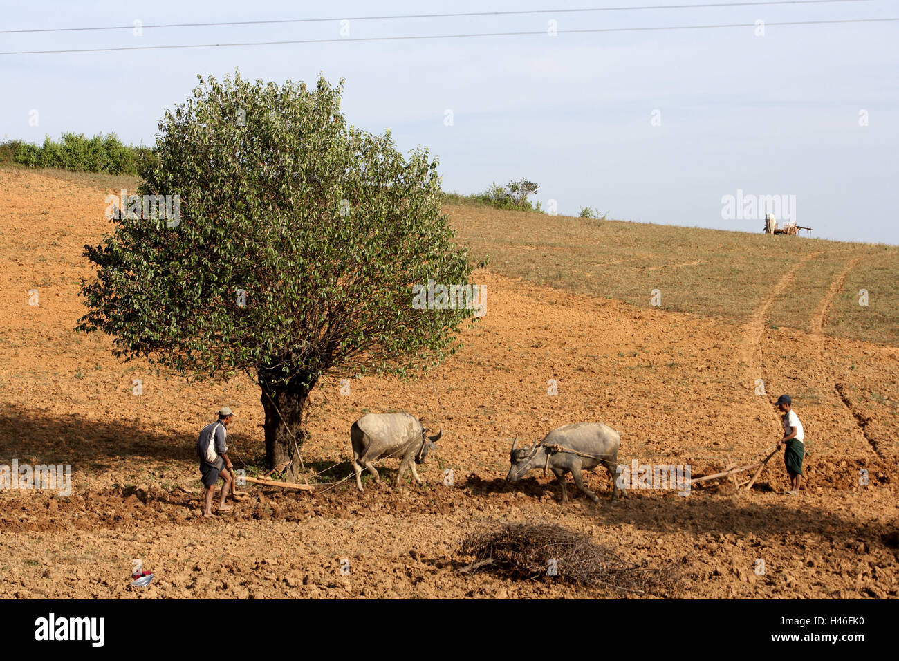 Myanmar, farm worker with plough Stock Photo - Alamy