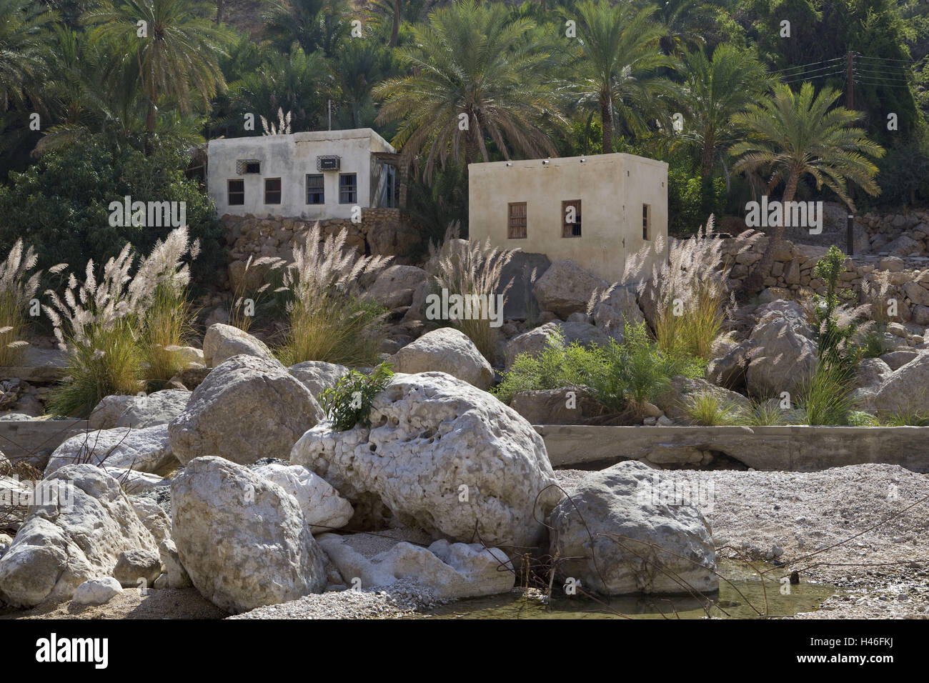 Al batinafile hi-res stock photography and images - Alamy