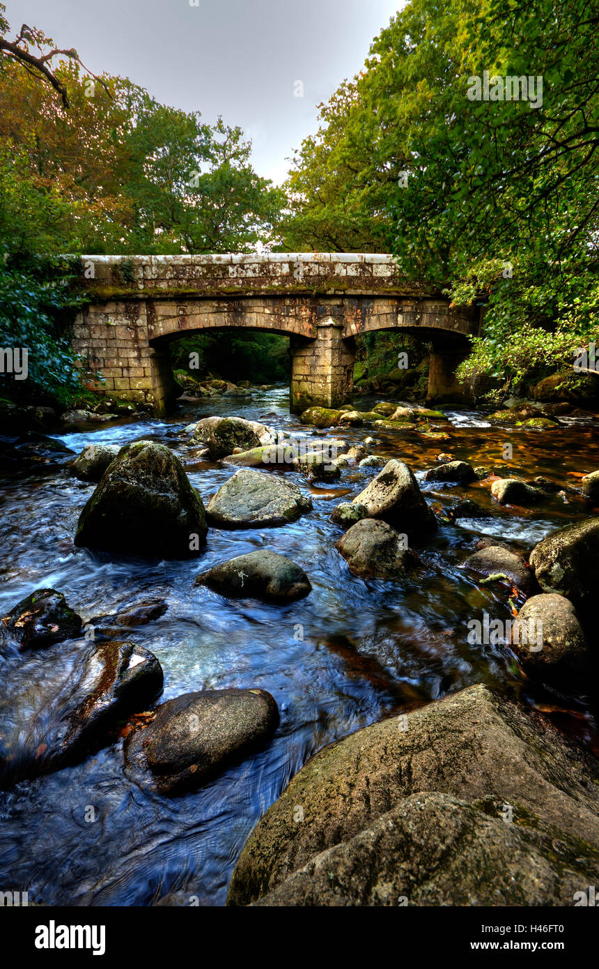 Shaugh Prior Bridge / River Plym on Dartmmoor Devon Stock Photo - Alamy