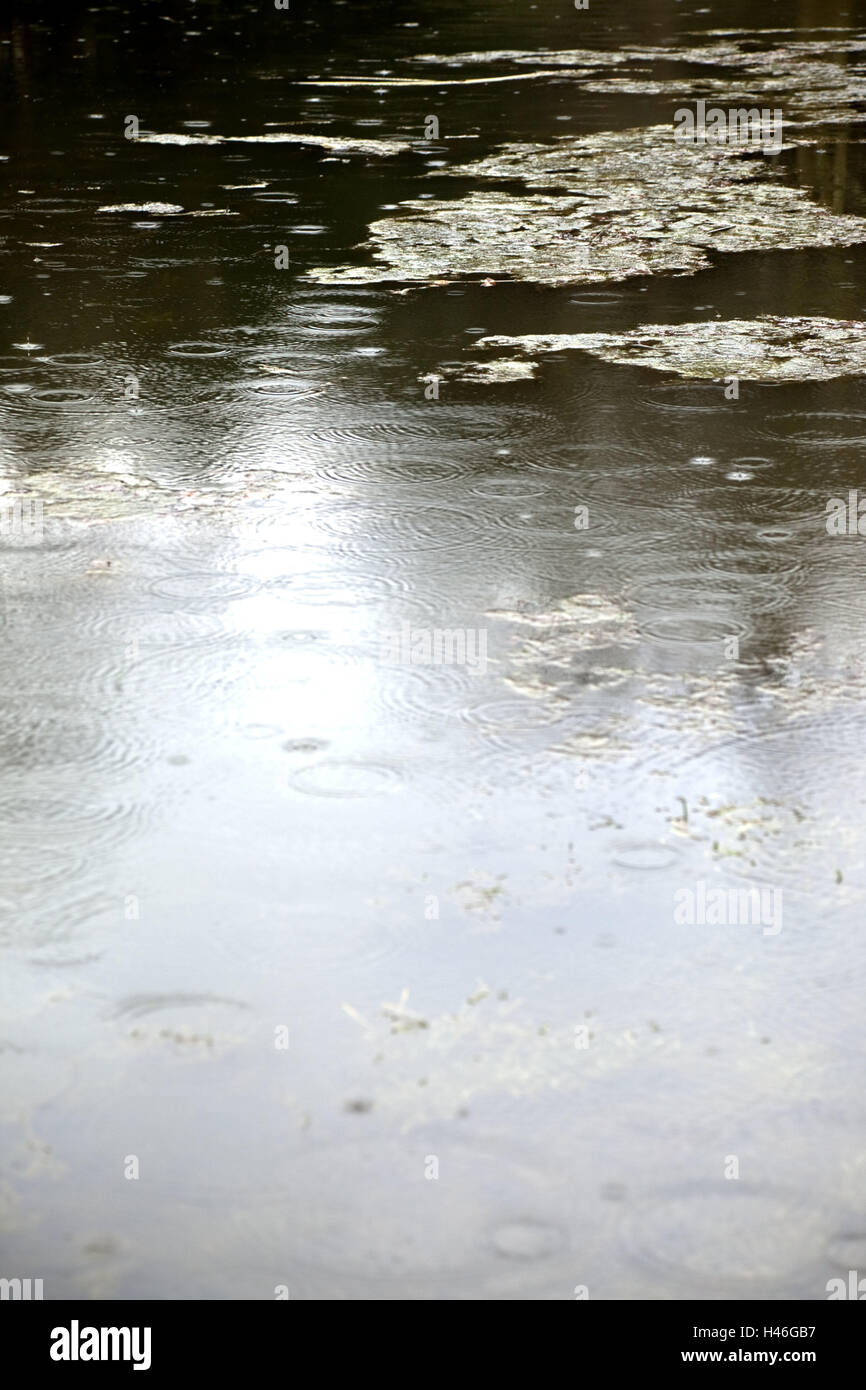 Lake, rain, outdoors, pond, water, weather, circles, water drops, rain ...