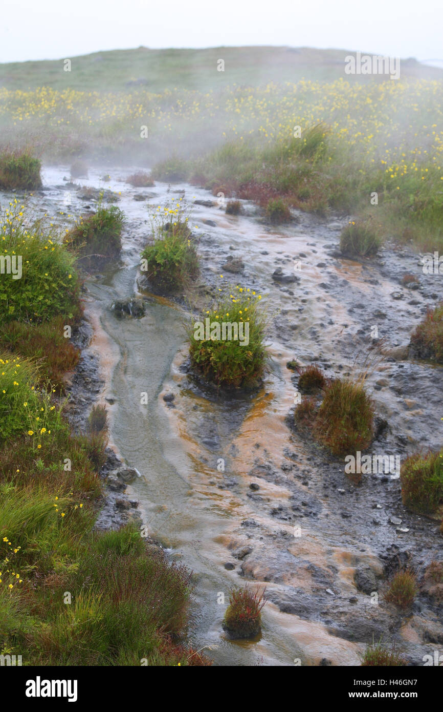 Geothermal area, Iceland Stock Photo - Alamy