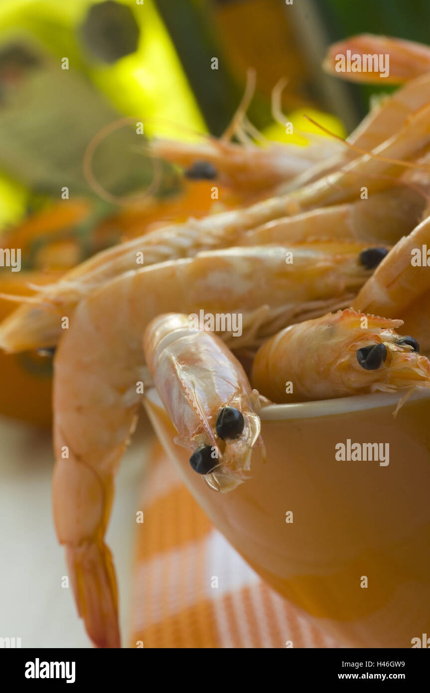Shrimps, cooked, ceramics peel, medium close-up, crustaceans, Seafood ...