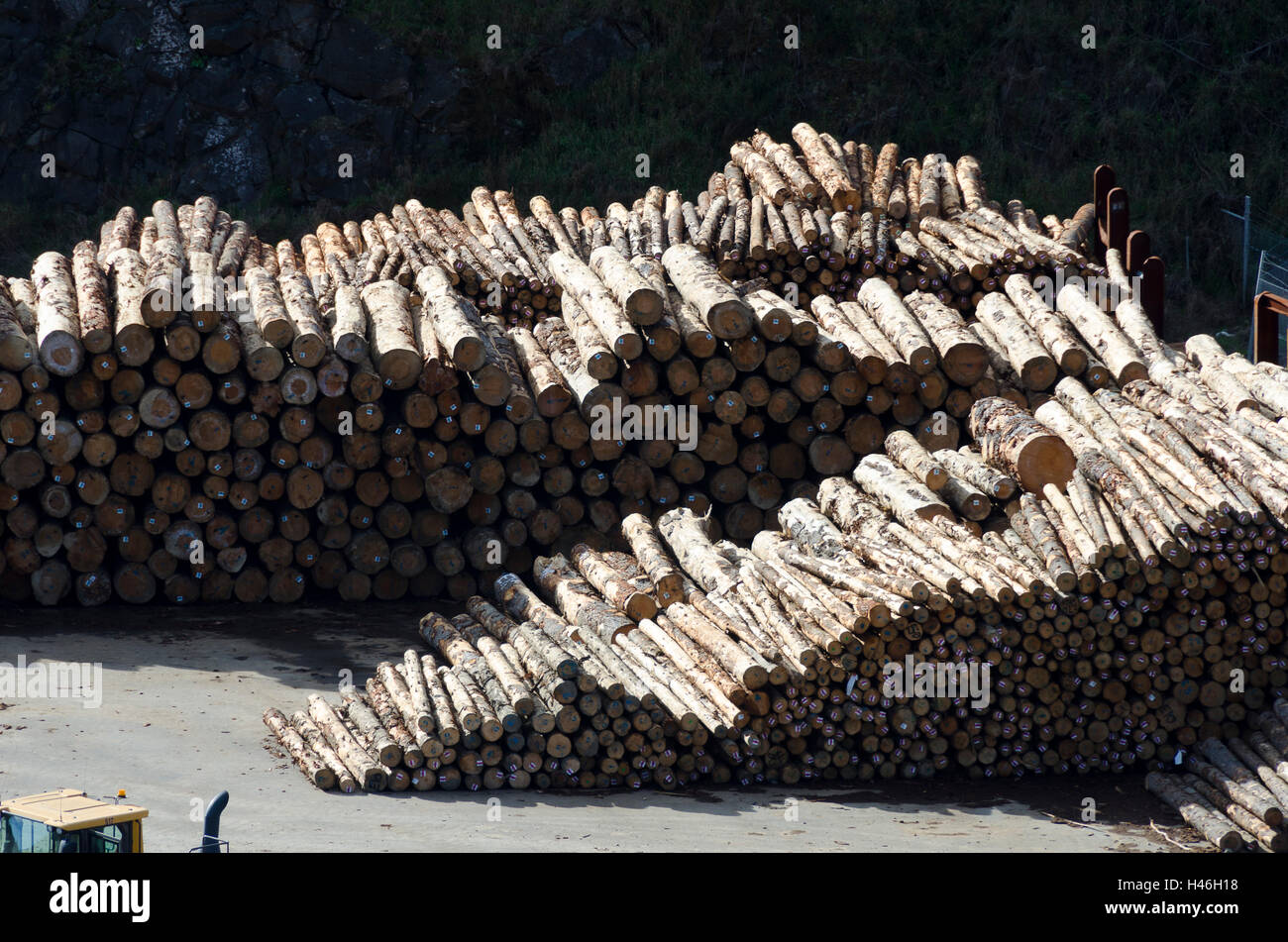 Timber terminal hi-res stock photography and images - Alamy