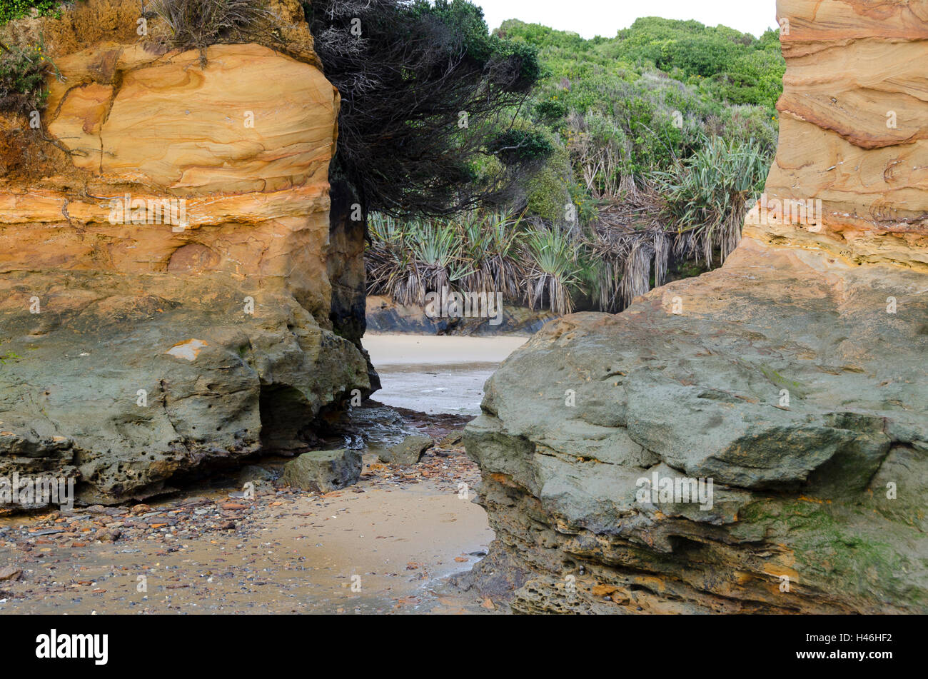 Cliffs, rocky shore and beach, Whanganui Inlet, Golden Bay, Tasman ...