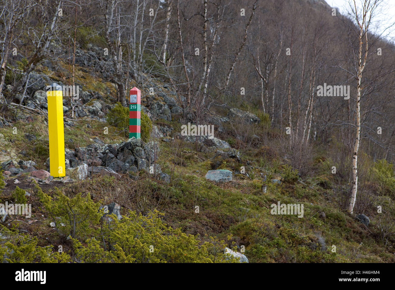 Petsamo hi-res stock photography and images - Alamy