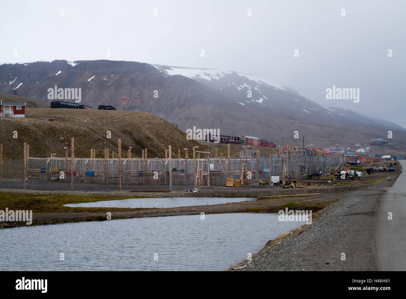 landscape of svalbard during the summer season Stock Photo - Alamy