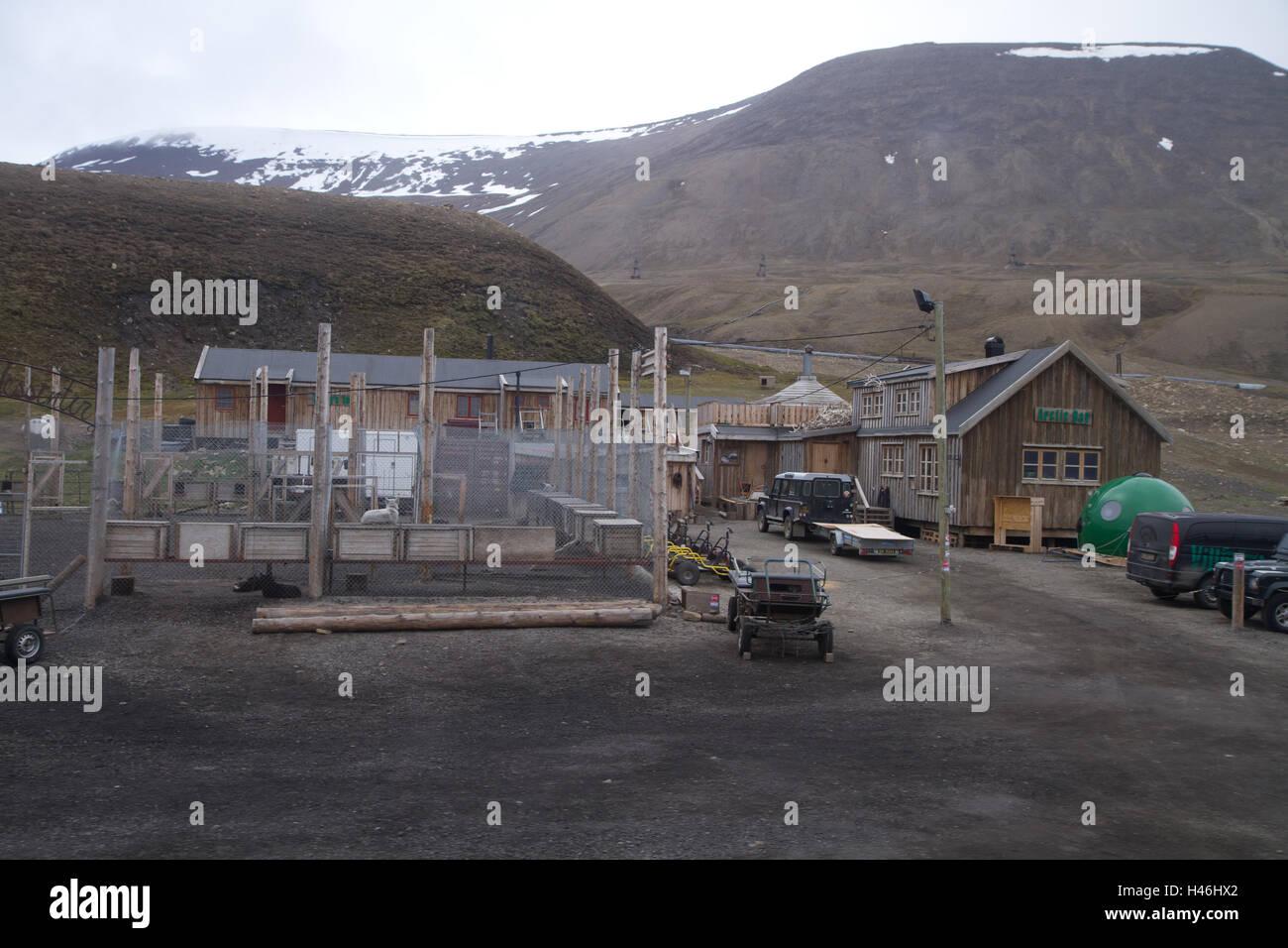 landscape of svalbard during the summer season Stock Photo - Alamy