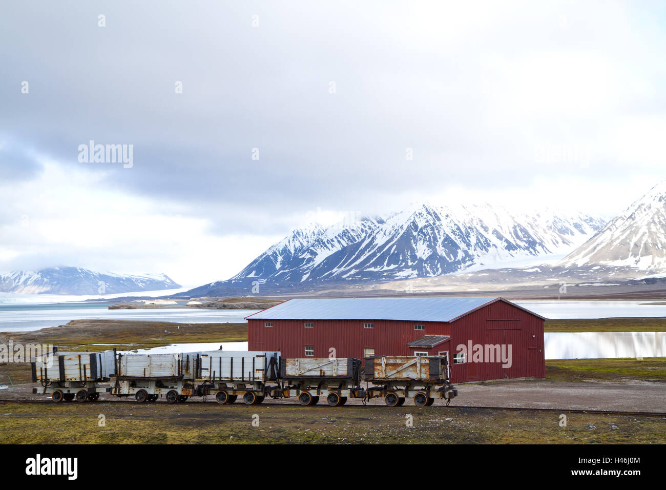 landscape of svalbard during the summer season Stock Photo - Alamy