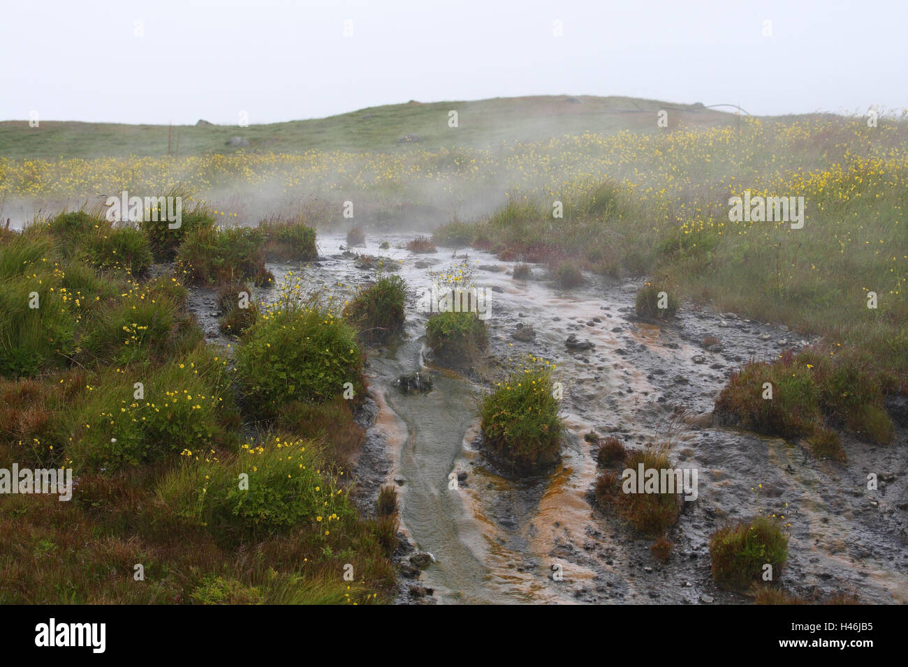 Geothermal vegetation hi-res stock photography and images - Alamy