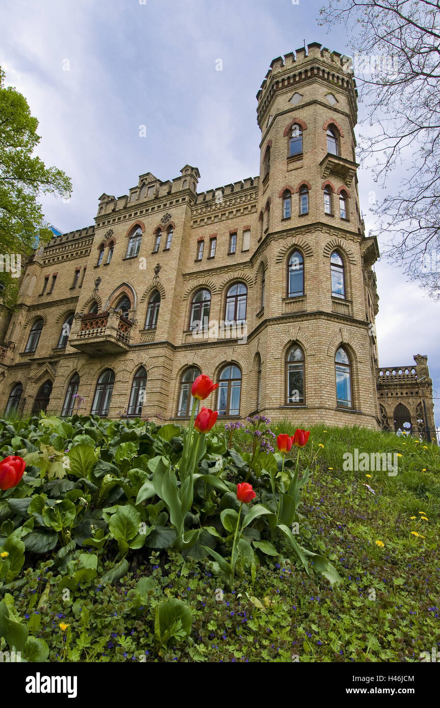 Lithuania, Vilnius, old town, building, Lithuanian architecture ...