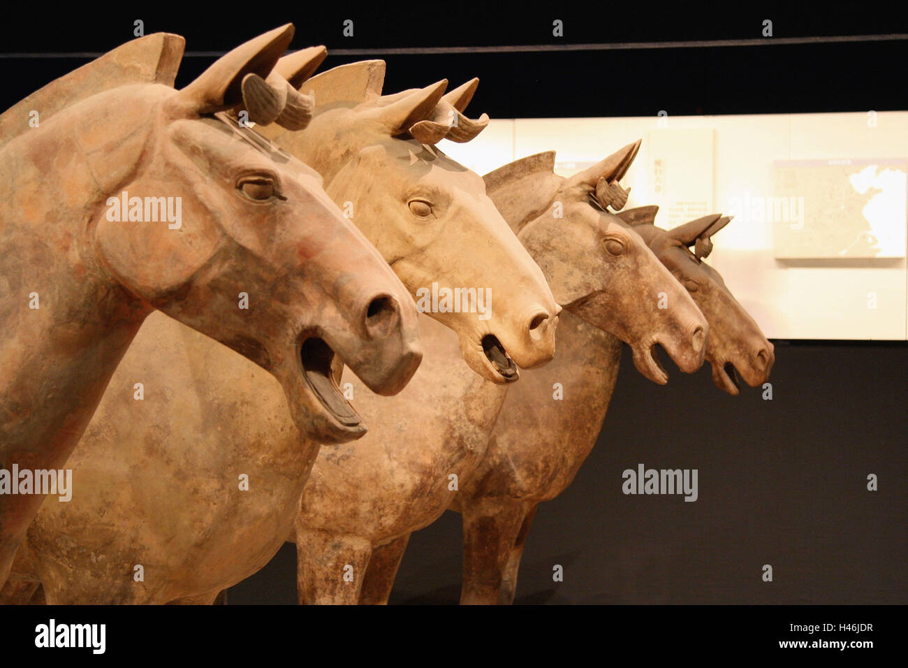 China, Xi'an, museum, horse figures of the Terracotta Army Stock Photo ...