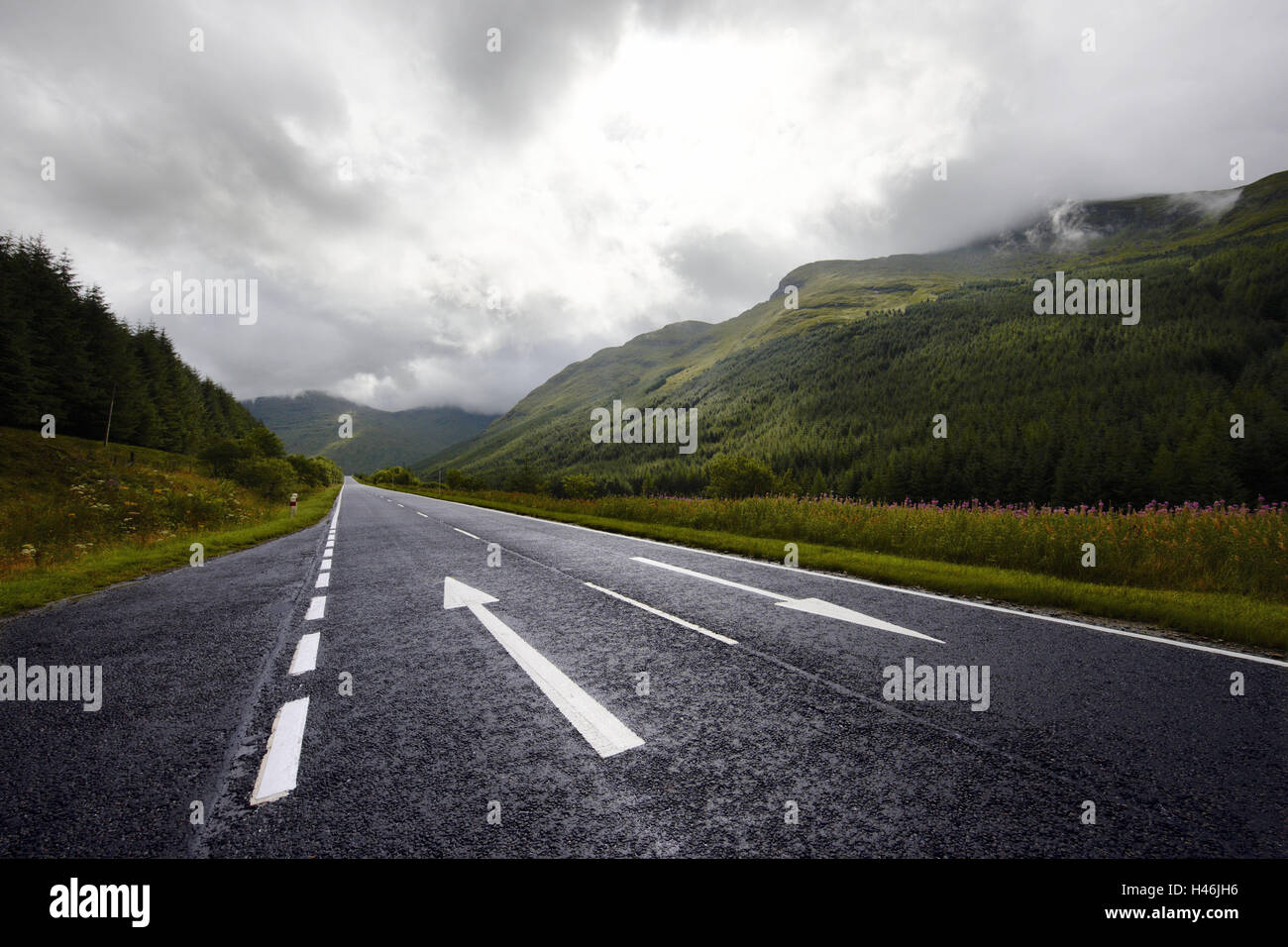 Scotland, country road, cloudy sky, Great Britain, the north, nature ...
