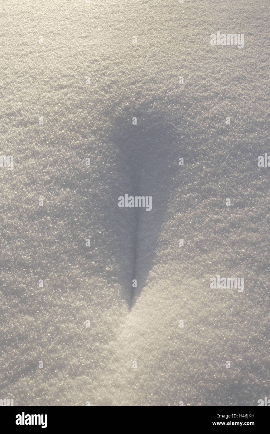 Snow surface, hollow, crack, nature, seasons, winters, snow, forms ...