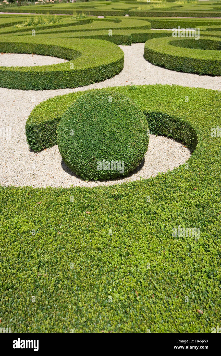 Box hedge detail hi-res stock photography and images - Alamy