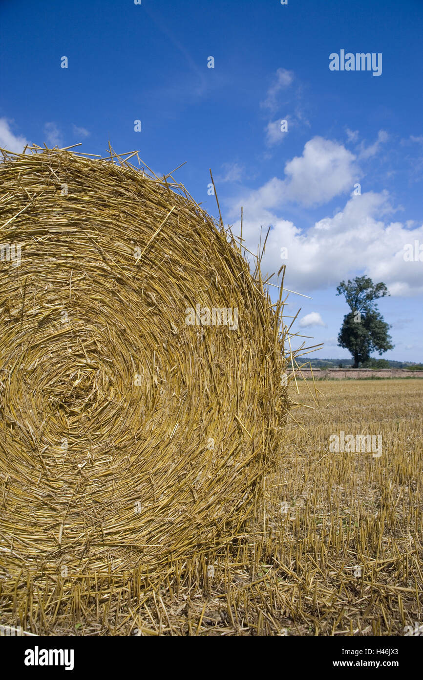 Hay bales field hi-res stock photography and images - Alamy