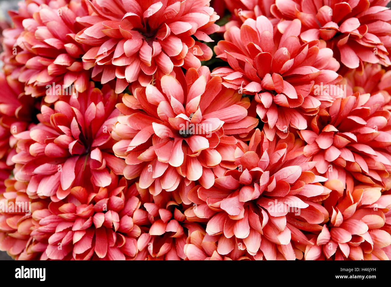 Plastic flowers, petals, red, detail Stock Photo - Alamy