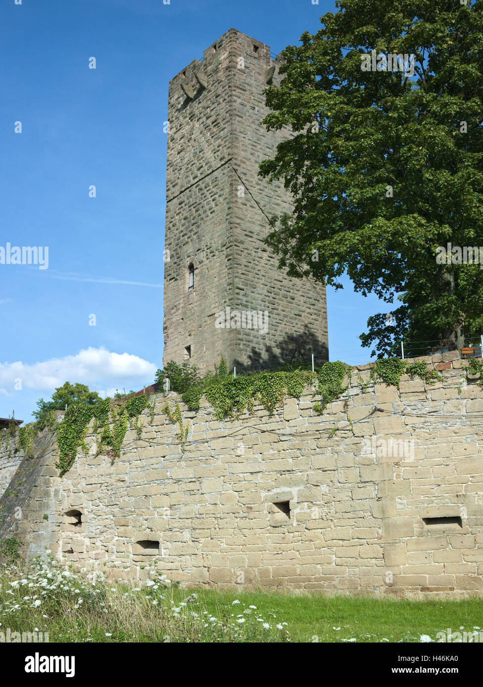 Castle castle ruin ravens hi-res stock photography and images - Alamy