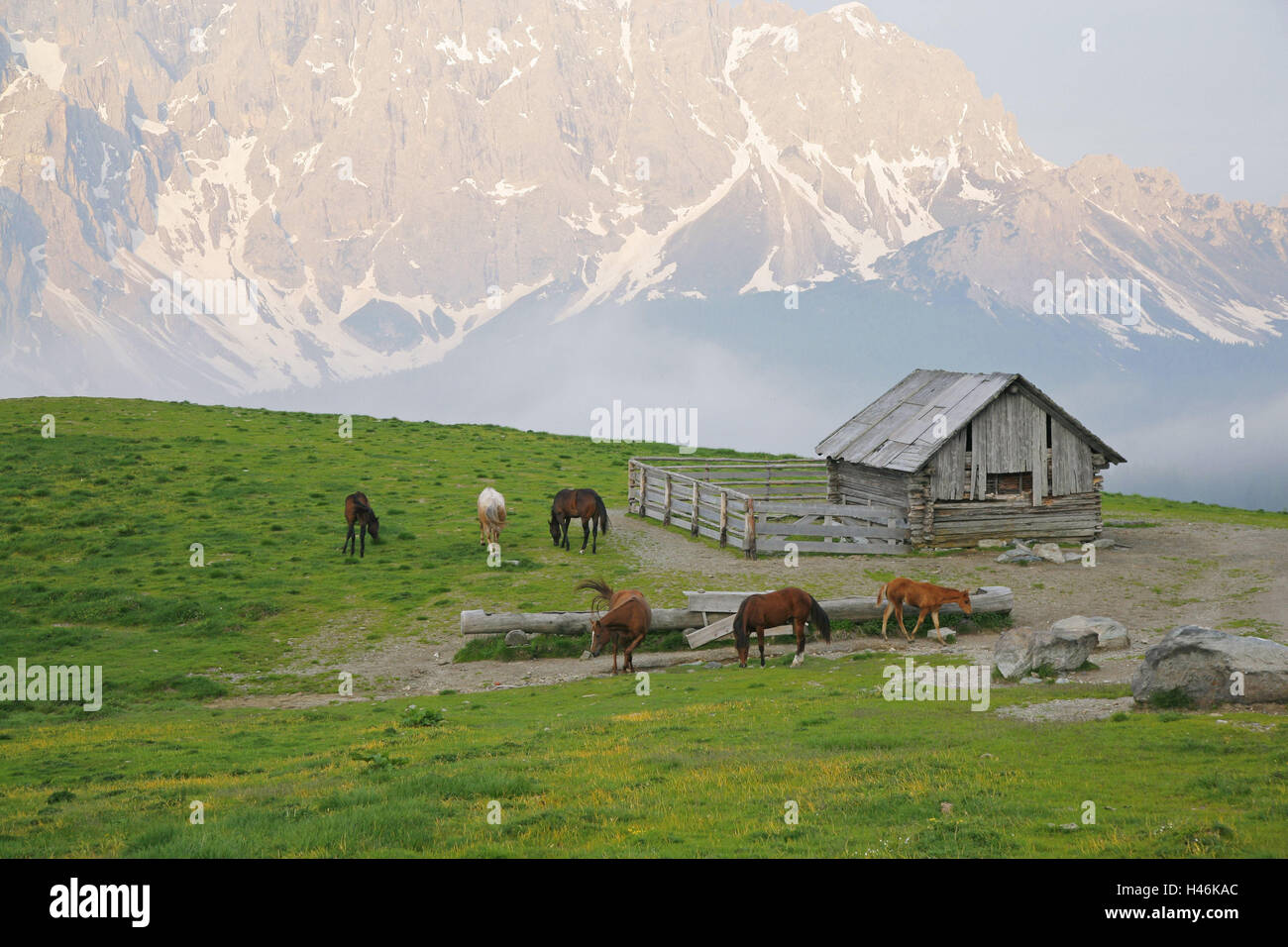 Italy, South Tyrol, the Dolomites, Kreuzbergpass, Nemesalm, Rotwand ...