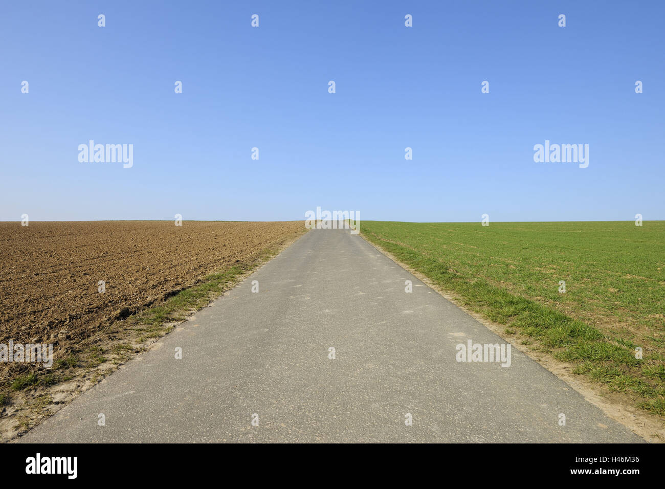Country lane, spring, heaven, blue Stock Photo - Alamy