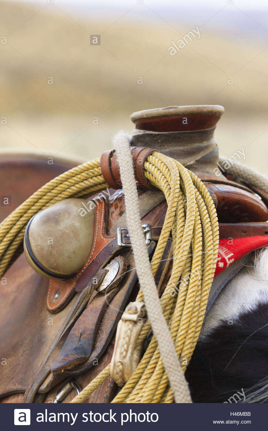 Lasso Saddle Stock Photos & Lasso Saddle Stock Images - Alamy