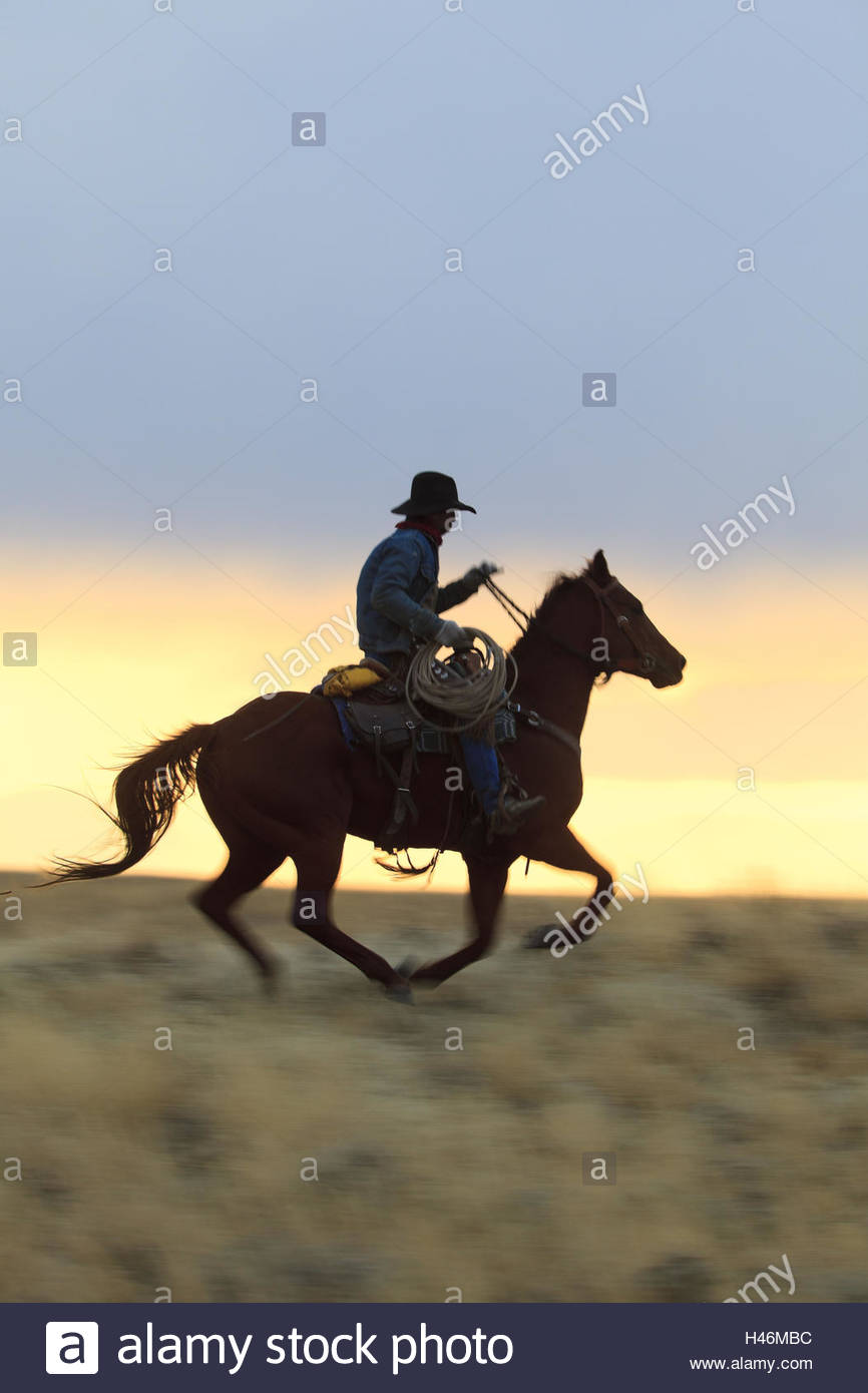 Cowboy Horse Stock Photos & Cowboy Horse Stock Images - Alamy
