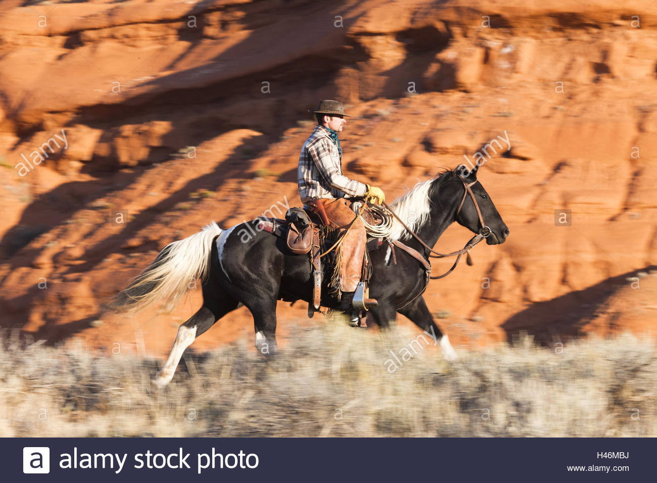 Usa Wyoming Cowboy Cowgirl Riding Stock Photos & Usa Wyoming Cowboy ...
