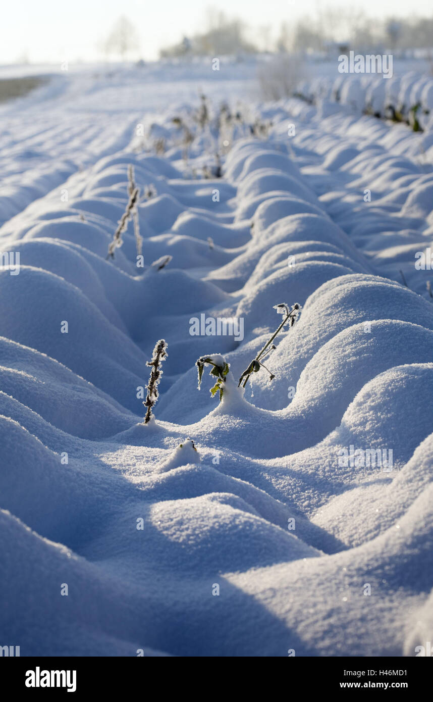 Ice caps hi-res stock photography and images - Alamy