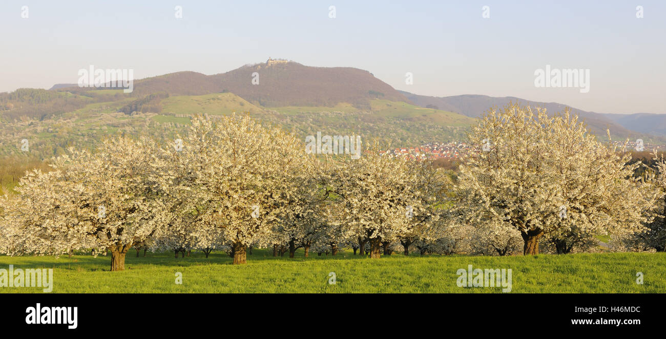 Fruit growing meadow hi-res stock photography and images - Alamy