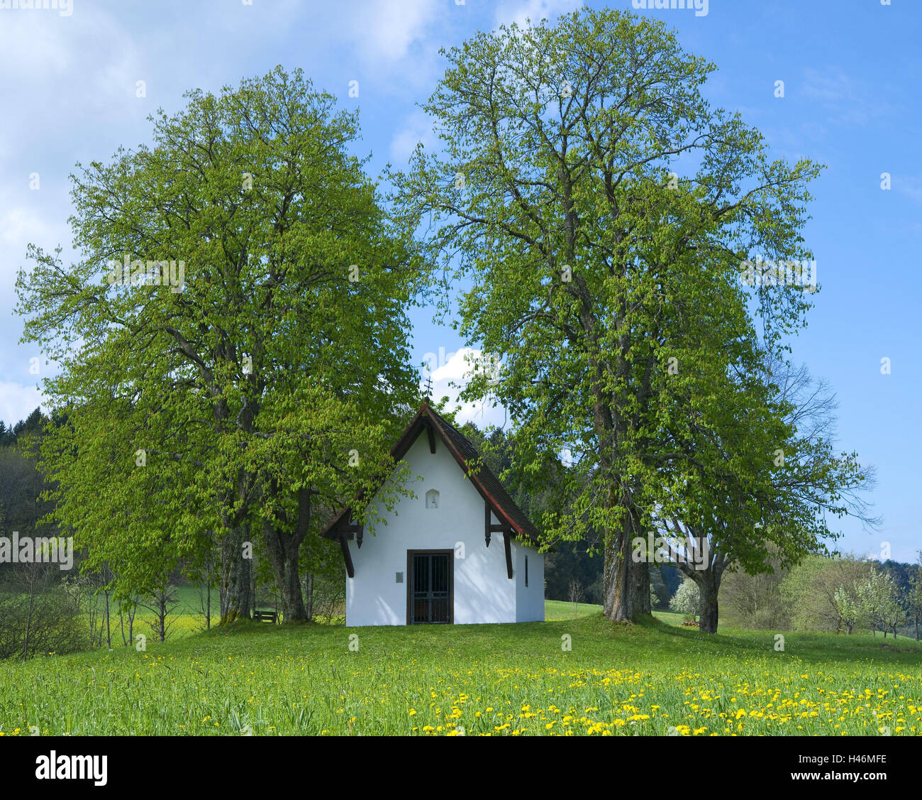 Germany, Baden-Wurttemberg, Weilen unter den Rinnen (town), trees ...