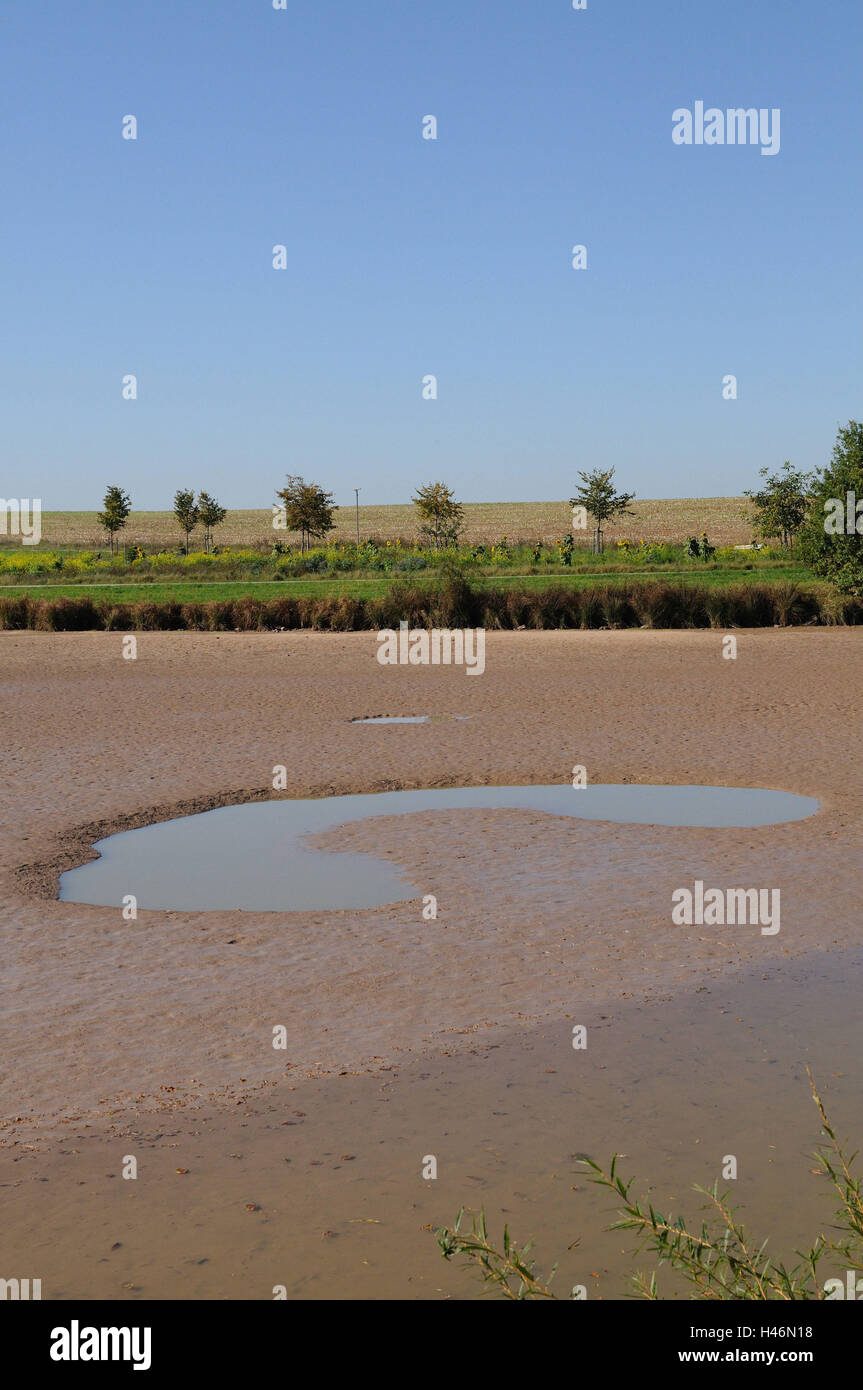 Mud puddle fish hi-res stock photography and images - Alamy