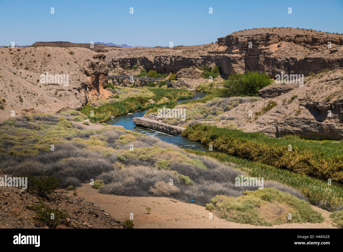 Colorado River, Nevada, USA Stock Photo - Alamy