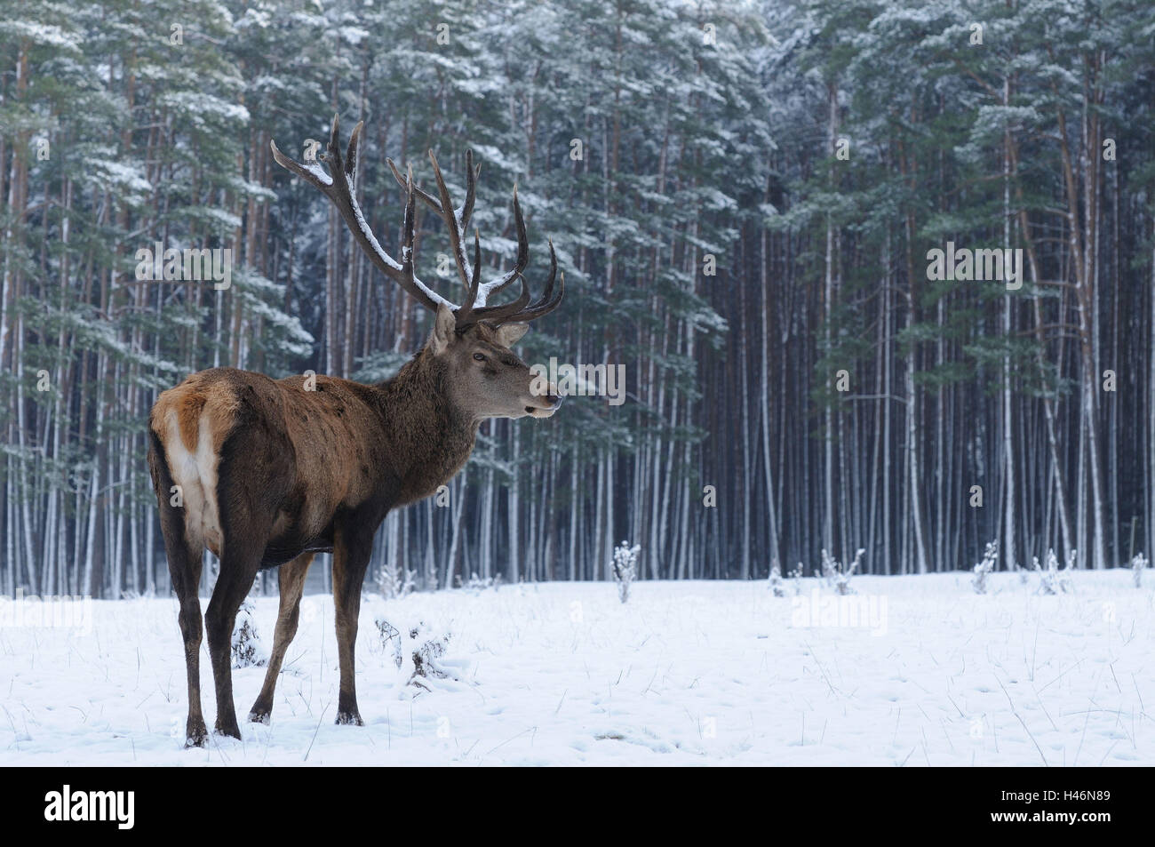 Stand by edge hi-res stock photography and images - Alamy