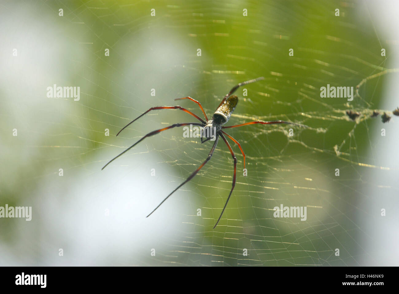 Little areas hi-res stock photography and images - Alamy