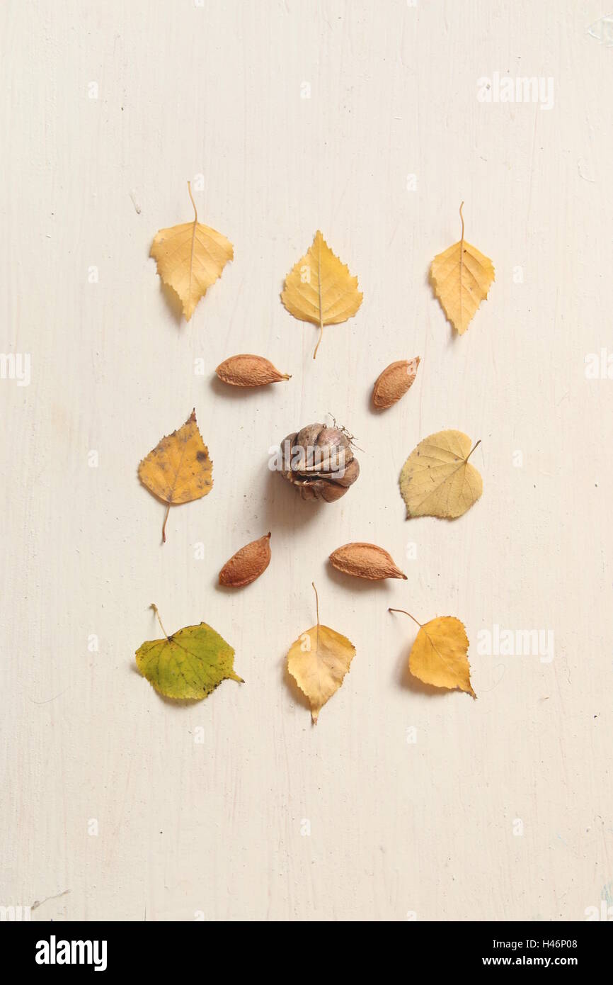 Fall. Autumn composition. with leaves nuts and garlic Stock Photo - Alamy
