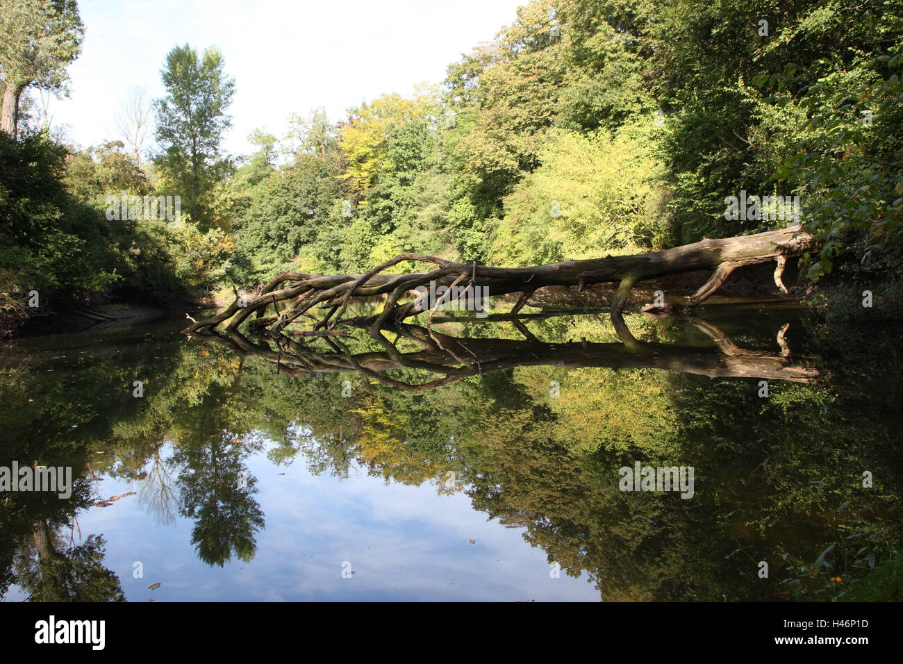 Old Rhine scenery Stock Photo - Alamy
