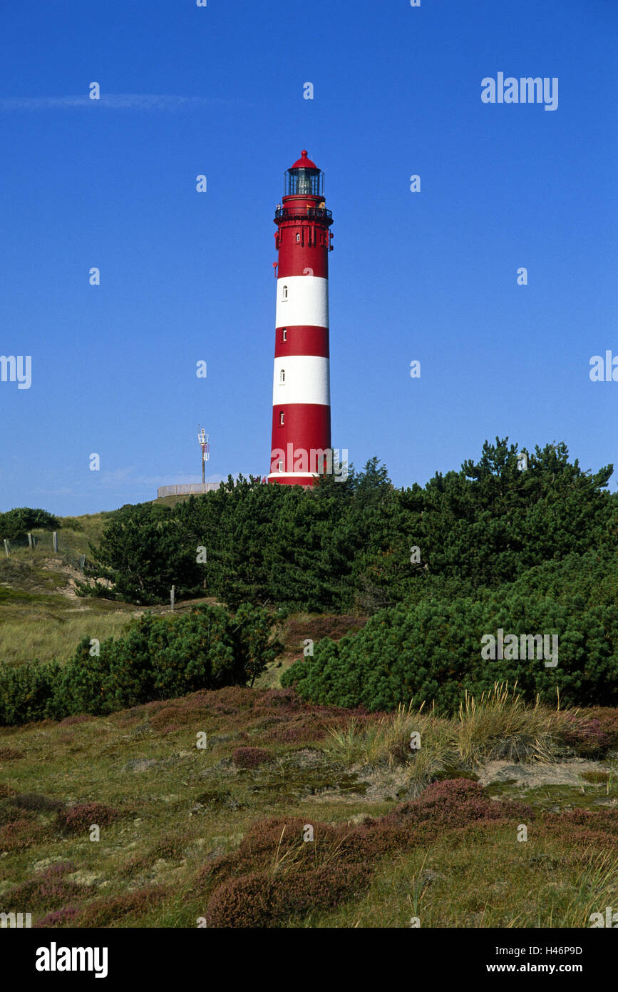 Wittdün, Amrumer lighthouse, Germany, Schleswig - Holstein, moor, dune ...