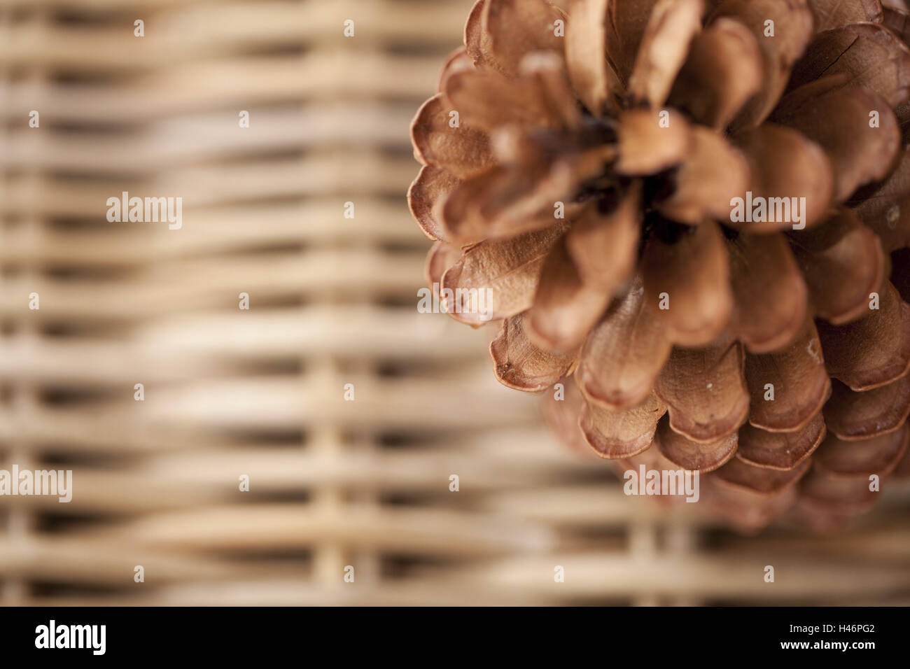 Basket, plug, pine cone Stock Photo - Alamy