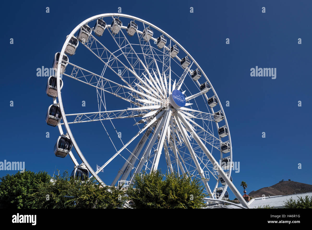 Cape Wheel, V&A Waterfront, Cape Town, Western Cape, South Africa ...