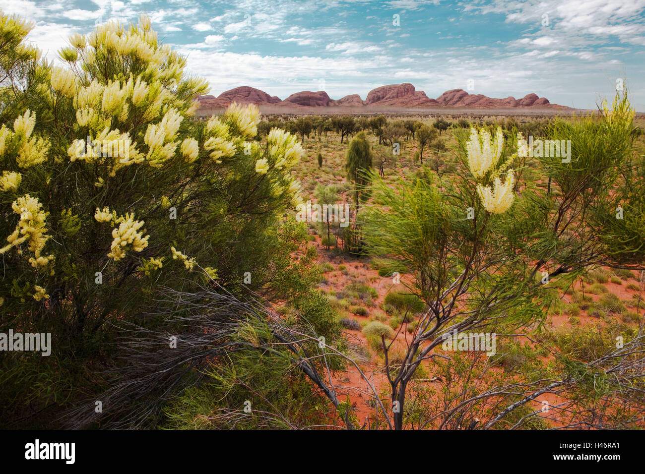 Australia, Northern Territory, Outback, mountains, Olgas Stock Photo ...