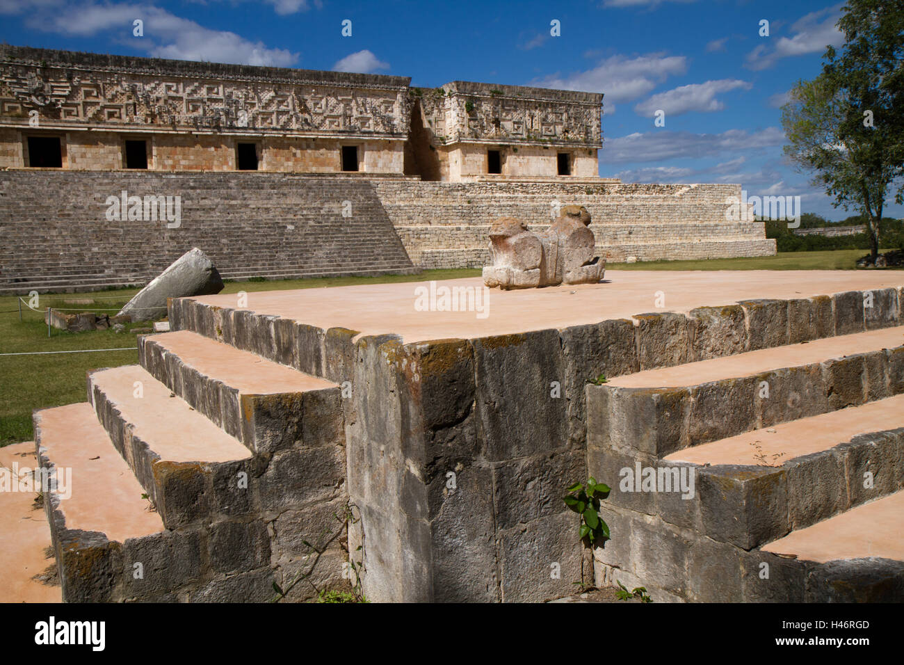 the pyramid of uxmal in yucatan in south of mexico Stock Photo - Alamy