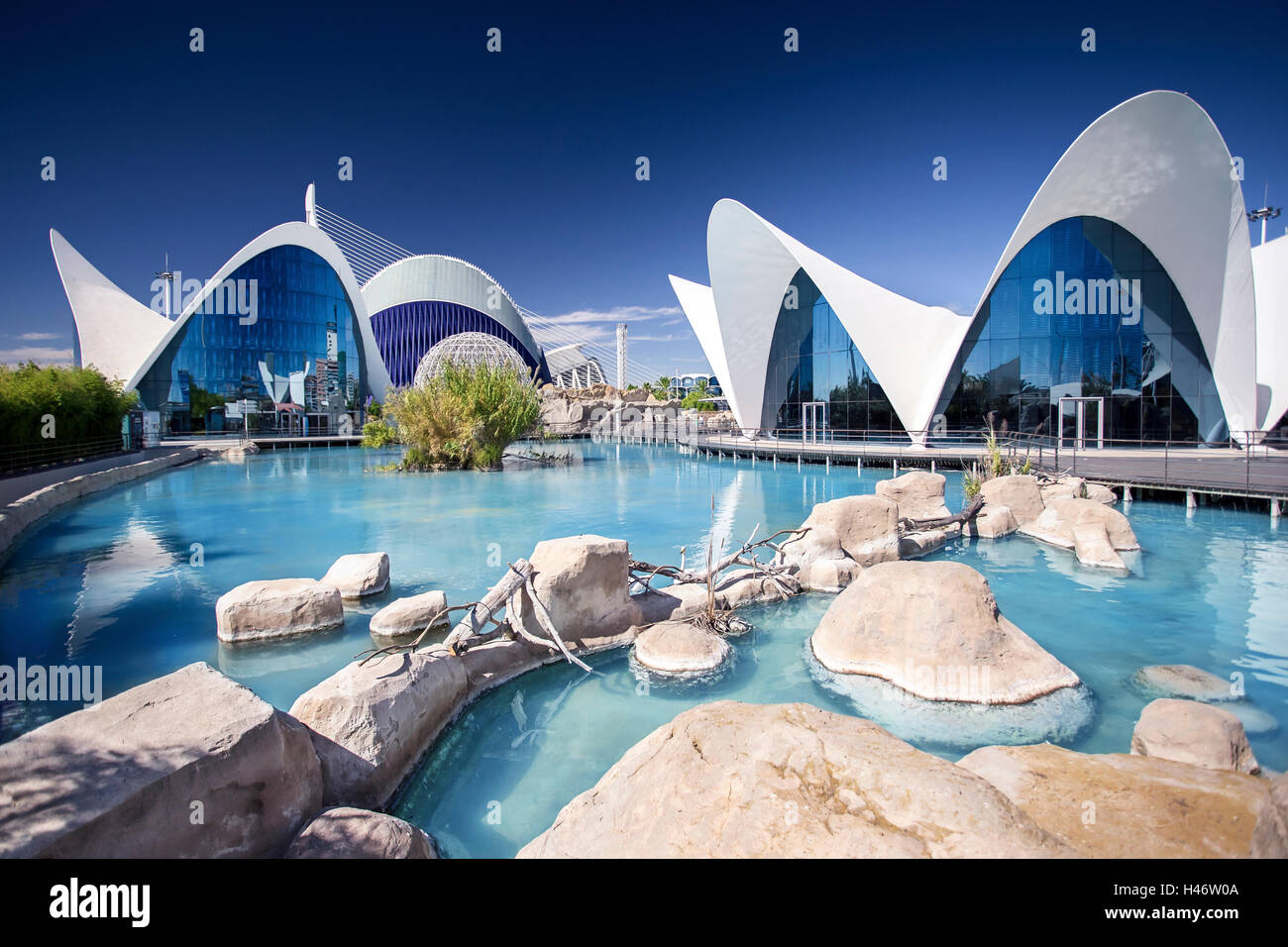 L'Oceanogràfic, Europe's largest Oceanarium in Valencia, Spain Stock ...