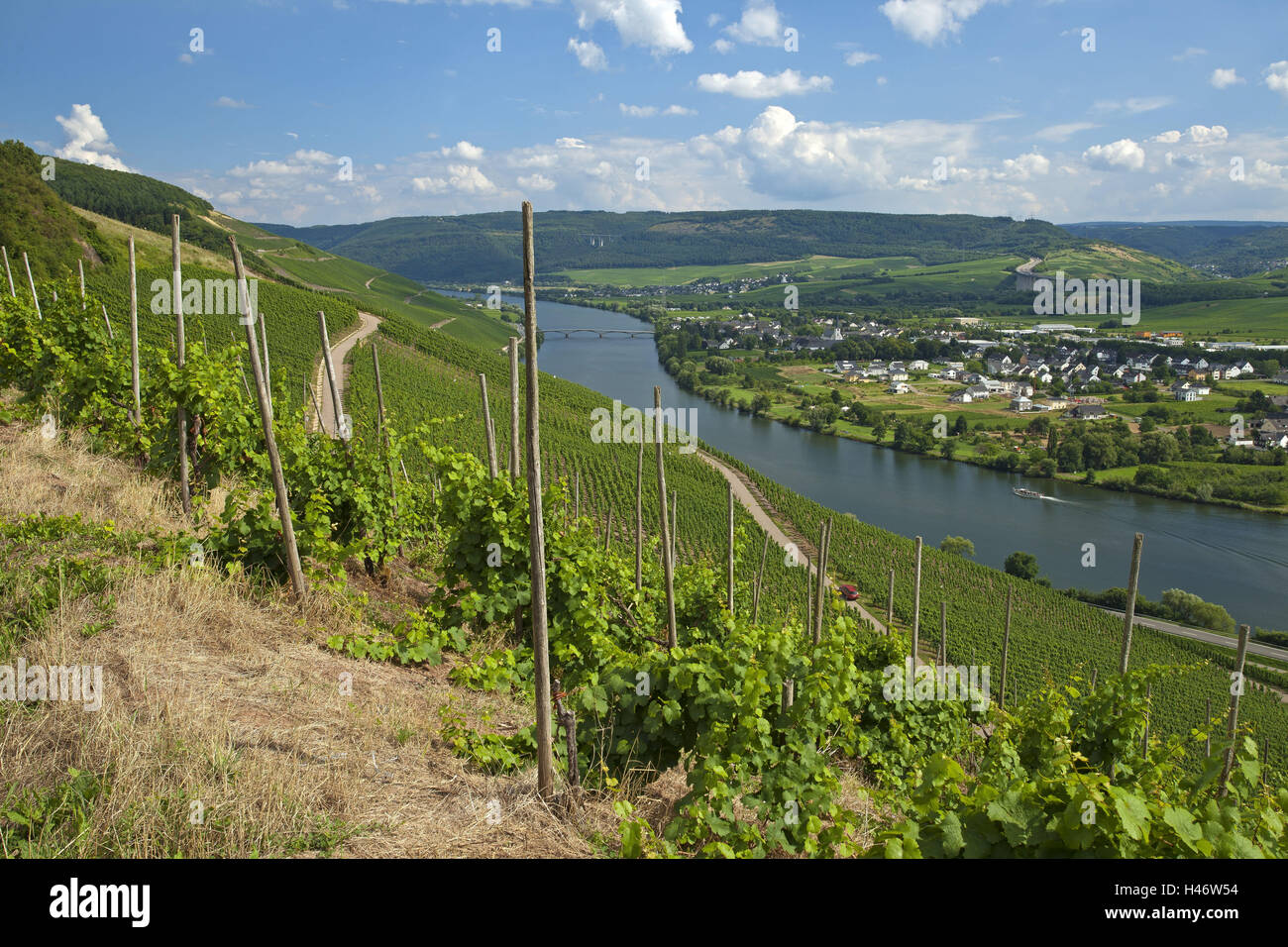 Schweich germany hi-res stock photography and images - Alamy