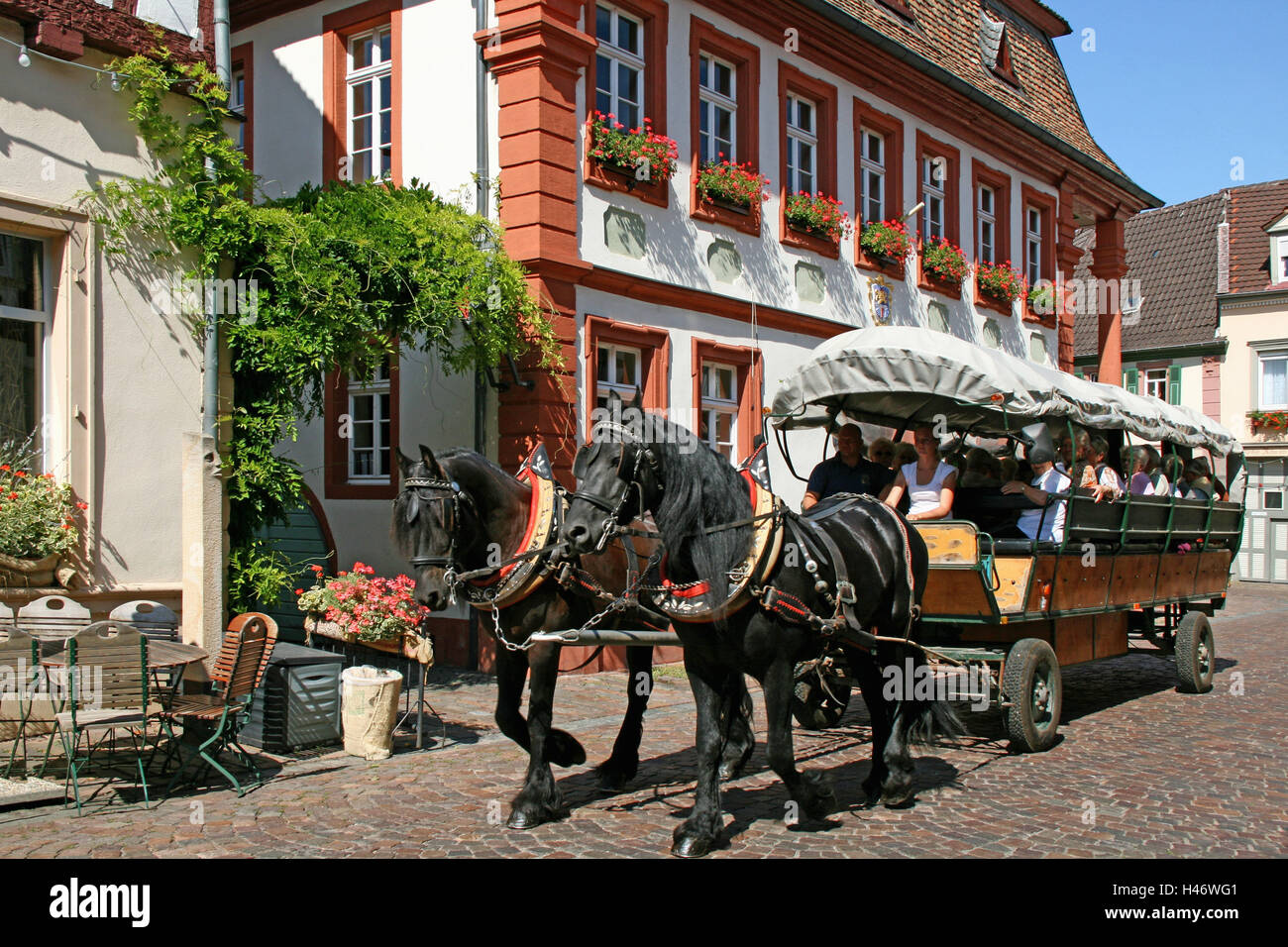 Germany, Rhineland-Palatinate, Freinsheim, German Weinstrasse, horse's ...