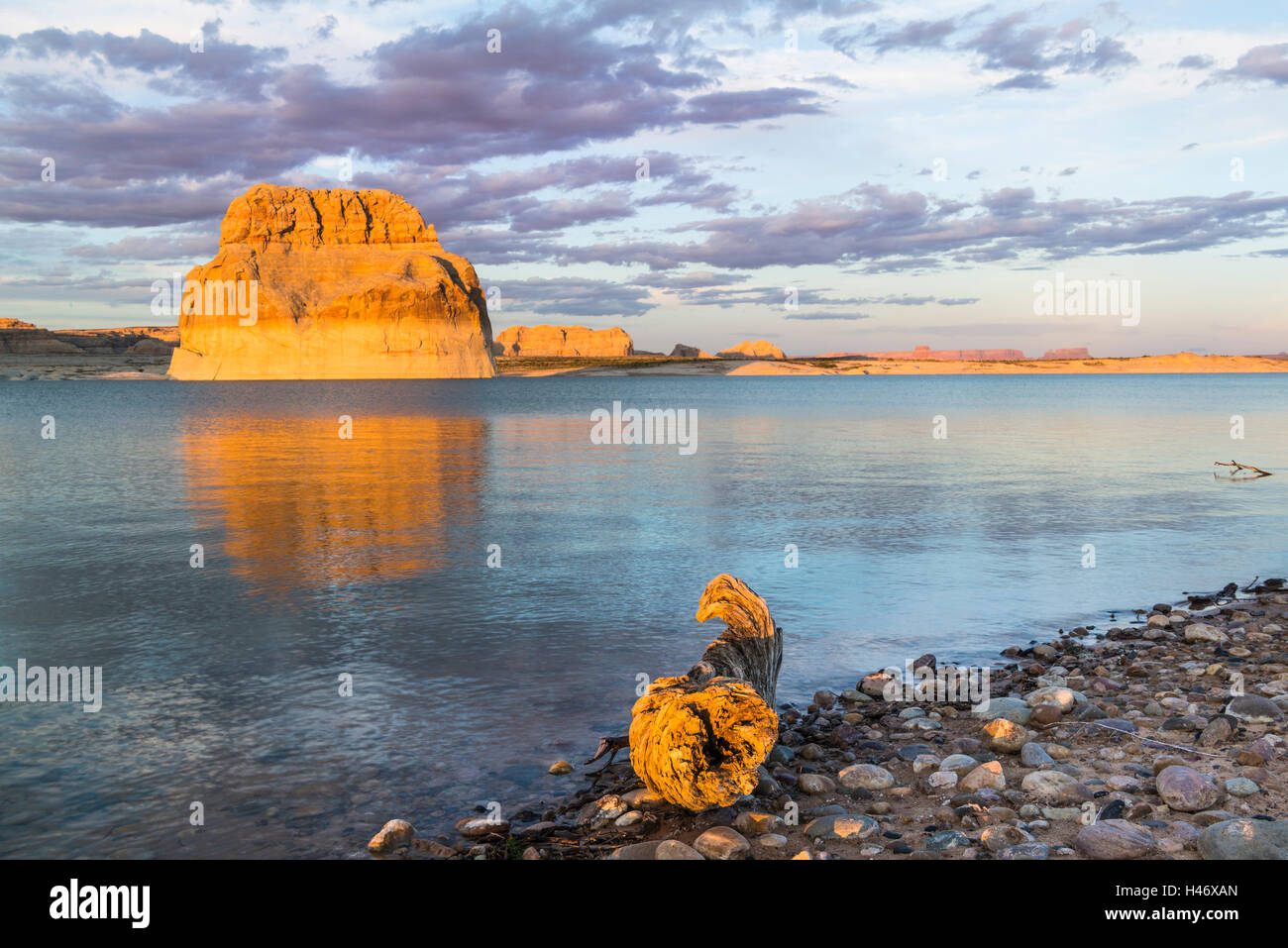 Sunset at Lone Rock Beach, Lake Powell, Arizona, USA Stock Photo - Alamy