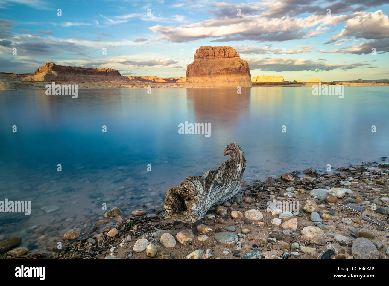 Sunset at Lone Rock Beach, Lake Powell, Arizona, USA Stock Photo - Alamy