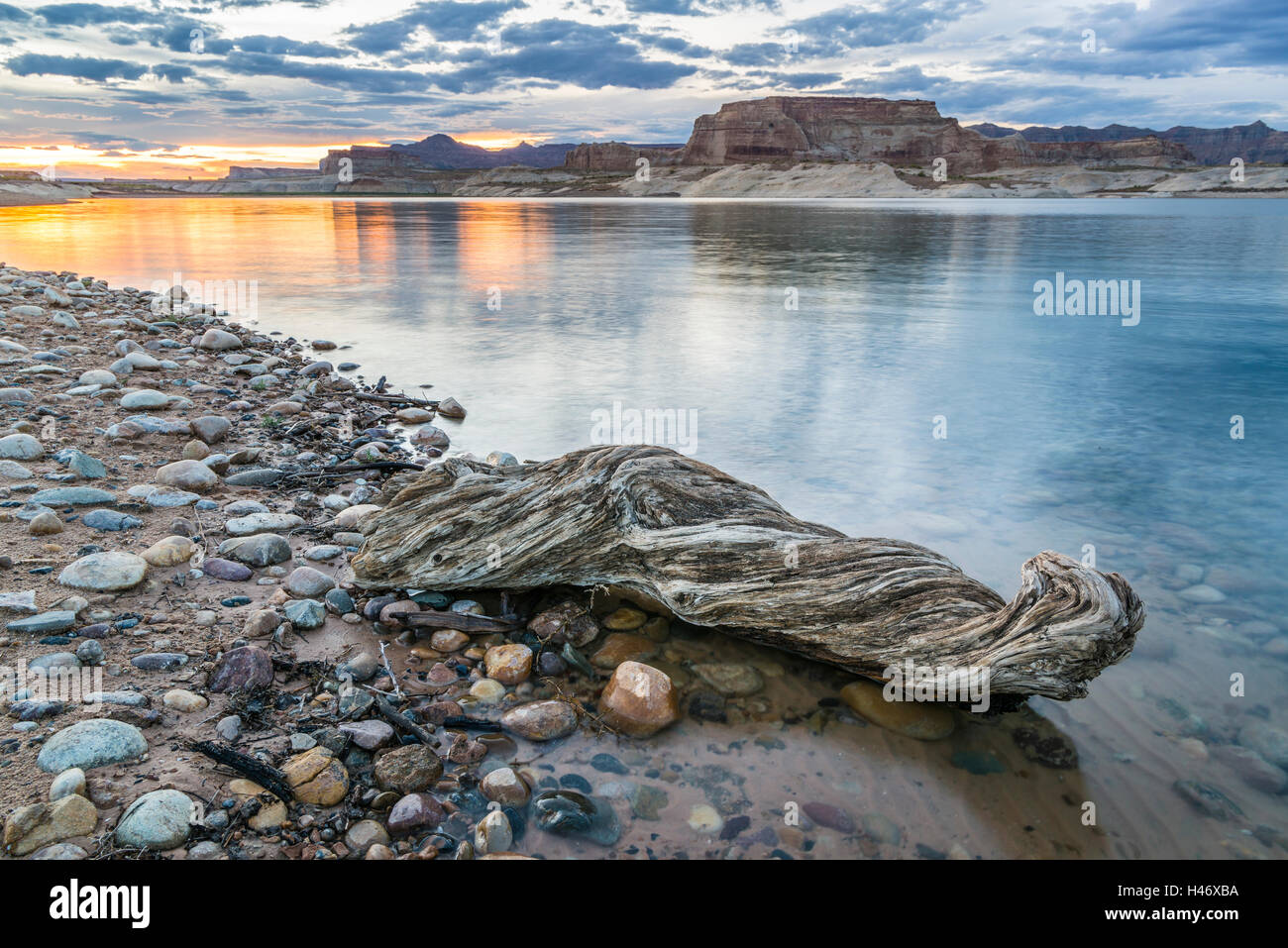 Sunset at Lone Rock Beach, Lake Powell, Arizona, USA Stock Photo - Alamy