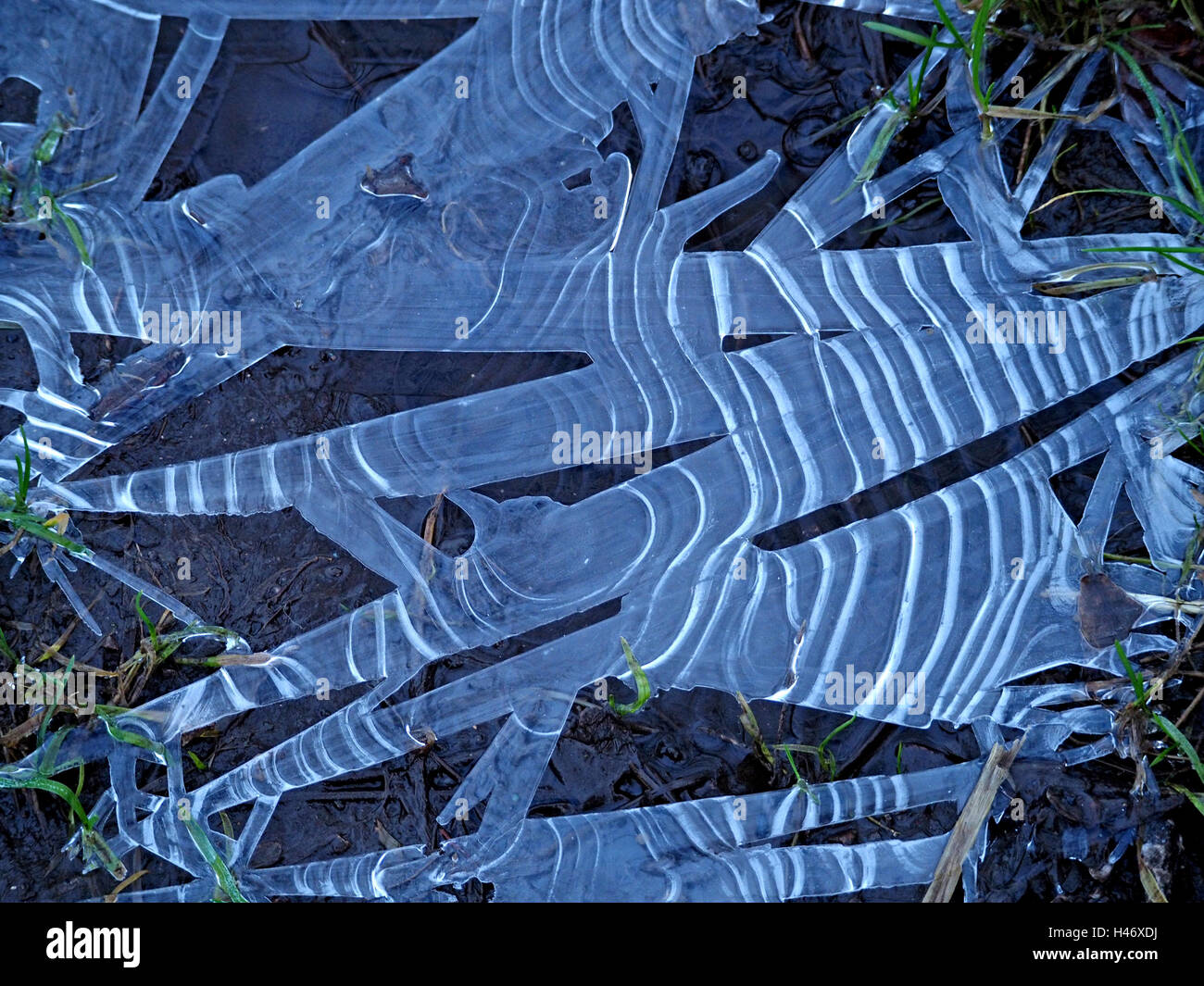 Alternate stripe pattern hi-res stock photography and images - Alamy