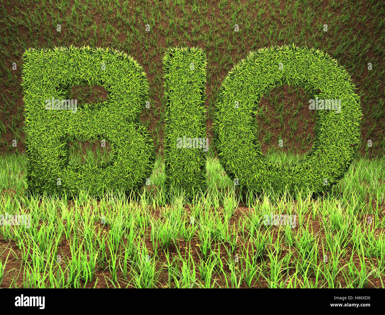 Biology Font Letters